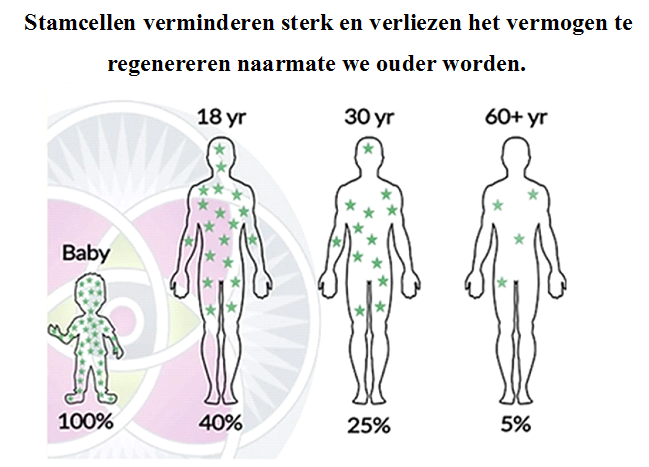 Waarom Lifewave - Wellness and Health by Marlies
